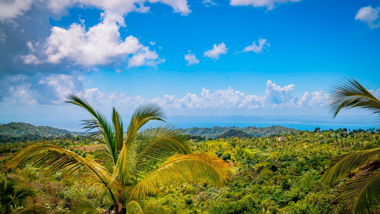 All Samana Tours & Excursions | Runners Adventures