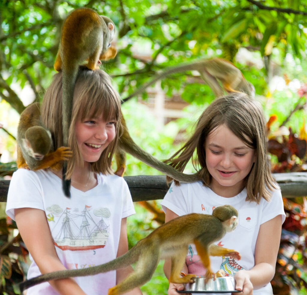 Ziplines + Monkeyland Samaná | Runners Adventures